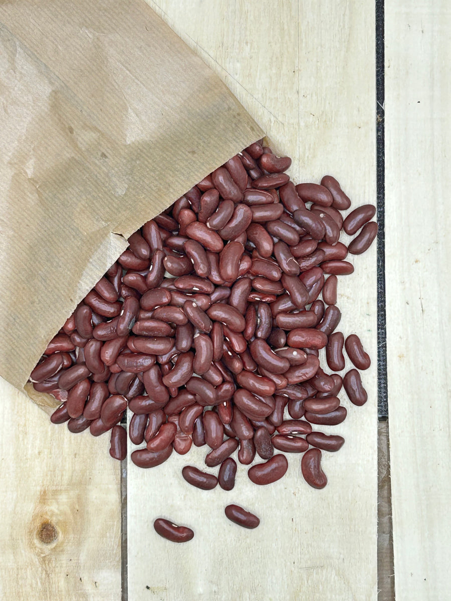 Haricot Rouge +/- 500gr – The Barn Bio Market